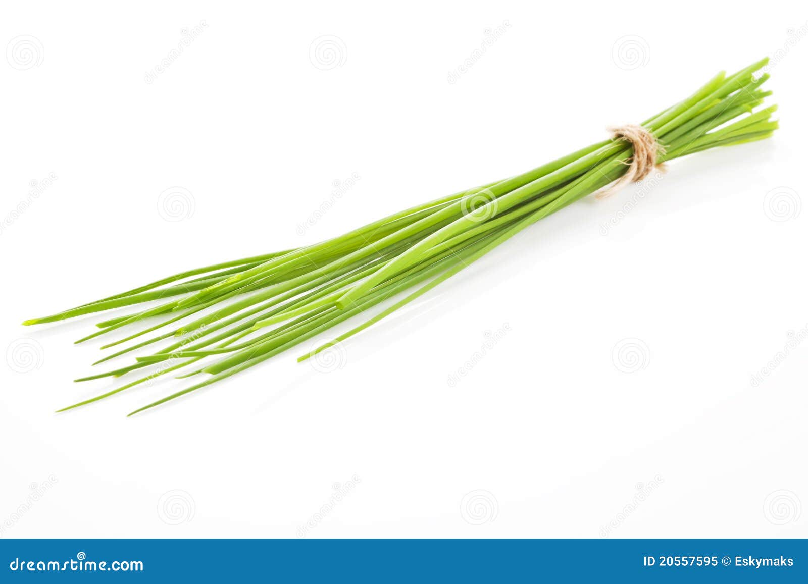Chive bundle. stock image. Image of herbal, cooking, bunch - 20557595