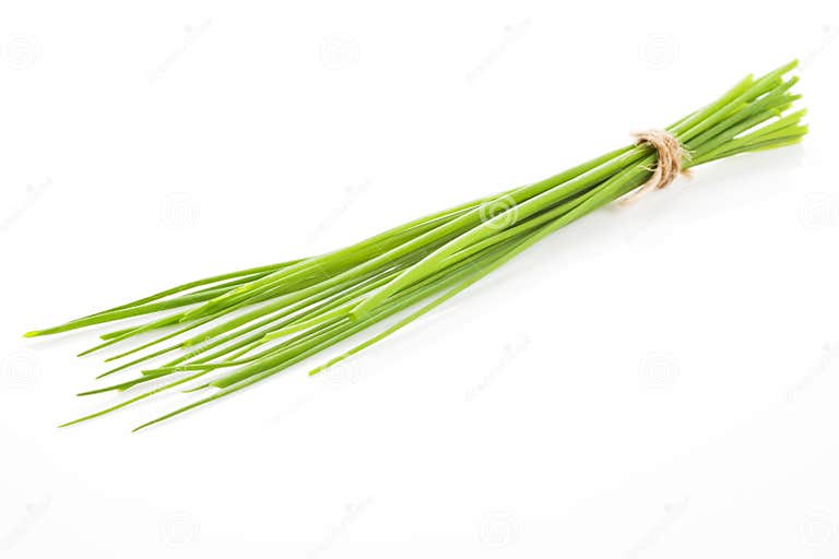 Chive bundle. stock image. Image of herbal, cooking, bunch - 20557595