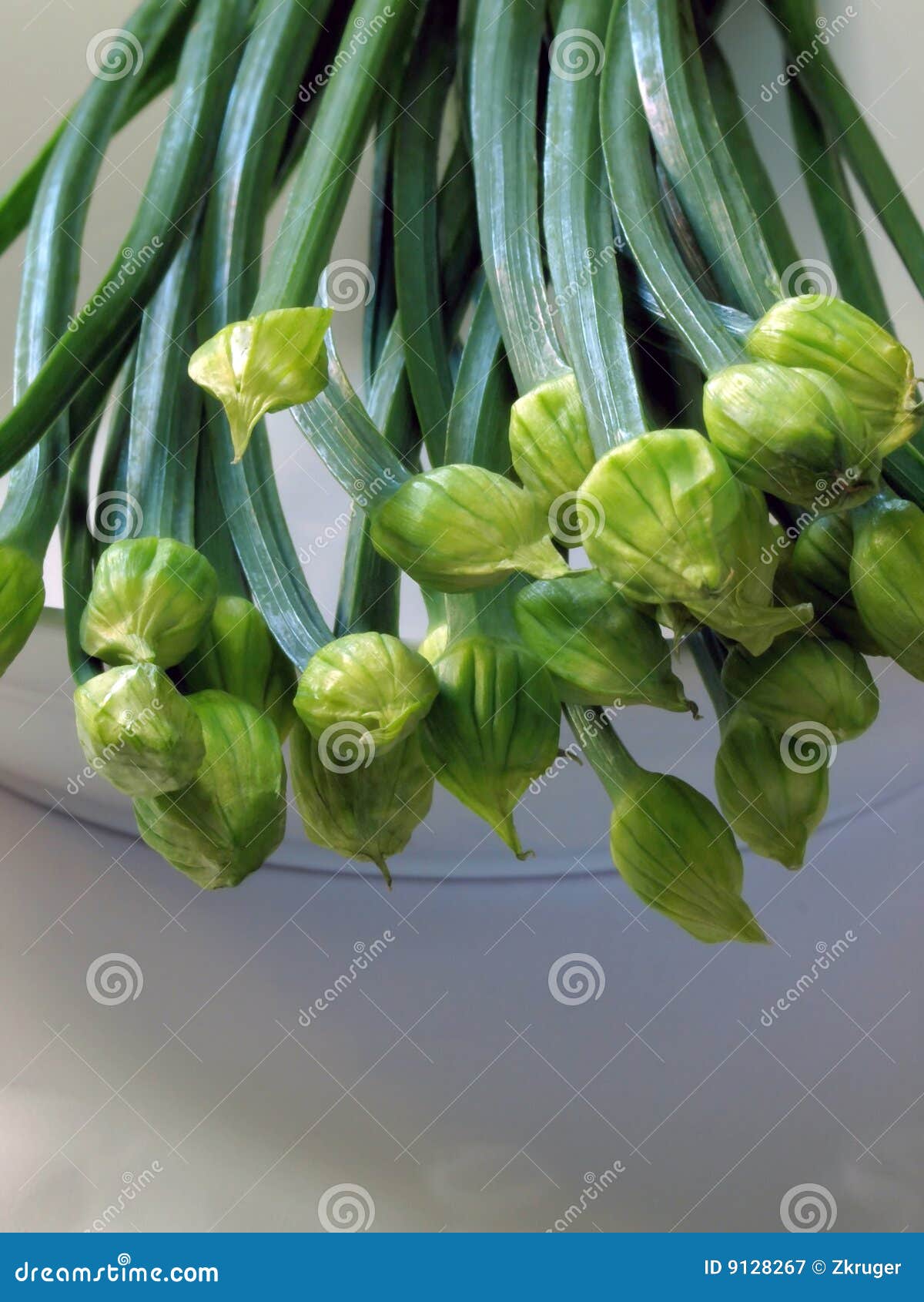 Chive stalks stock image. Image of food, aromatic, fresh - 9128267