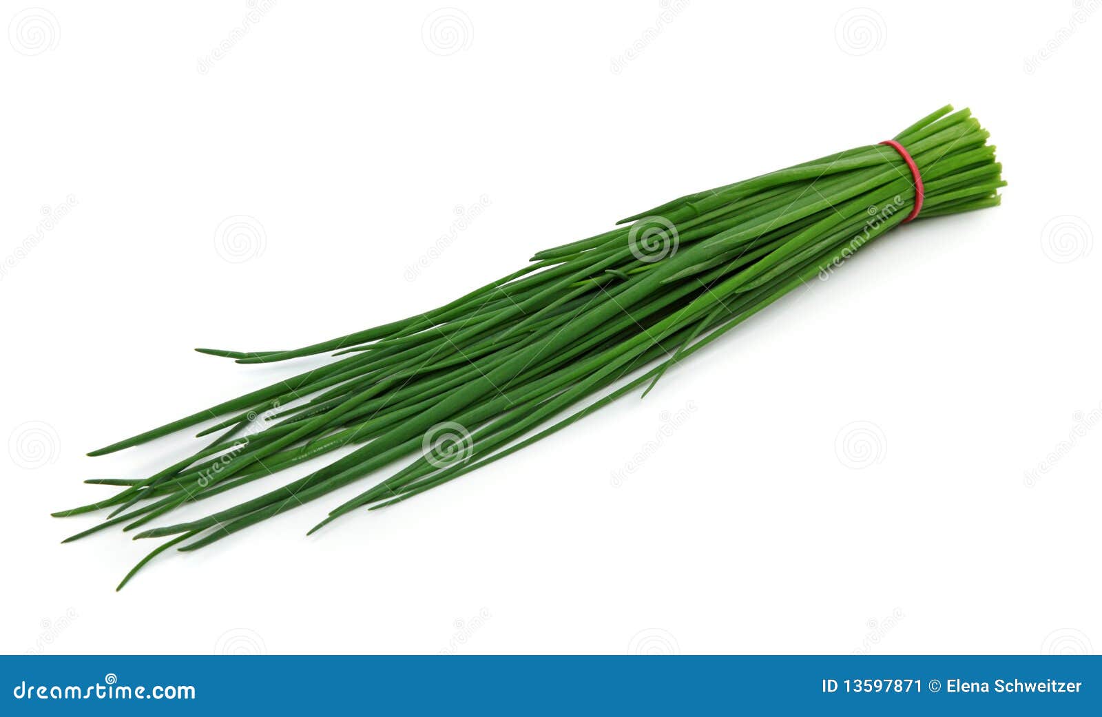 Chives stock image. Image of seasoning, ingredients, cooking - 13597871
