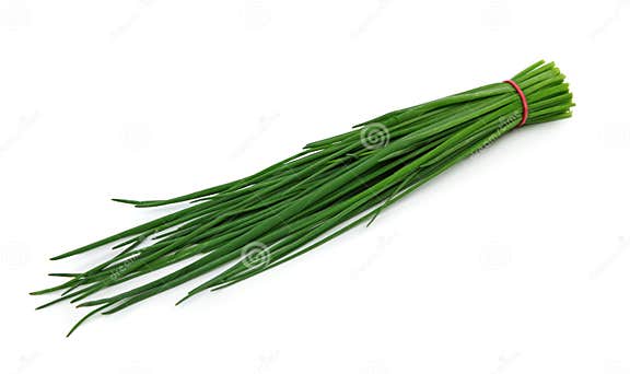 Chives stock image. Image of seasoning, ingredients, cooking - 13597871