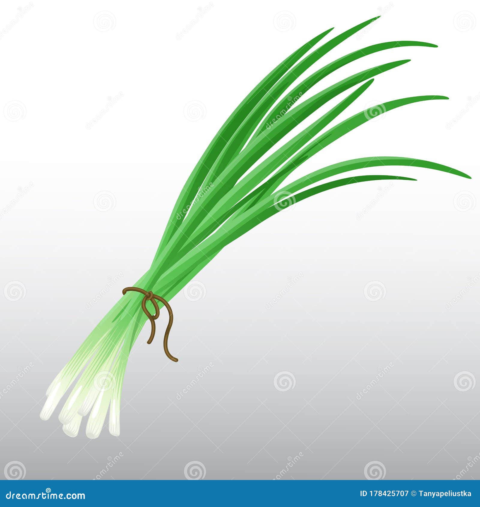 Fresh Chives Herb Cartoon Vector | CartoonDealer.com #12232783