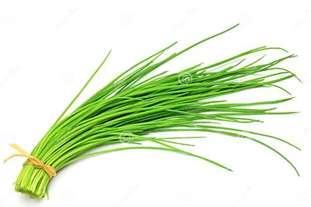 Chives stock photo. Image of herb, vegetables, chive - 22705242