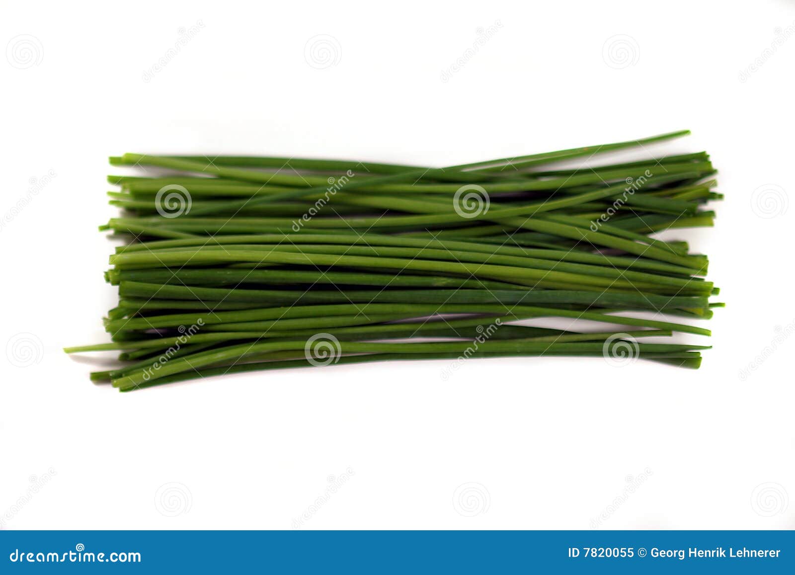 Chives stock image. Image of bunch, gardening, herbs, diet - 7820055
