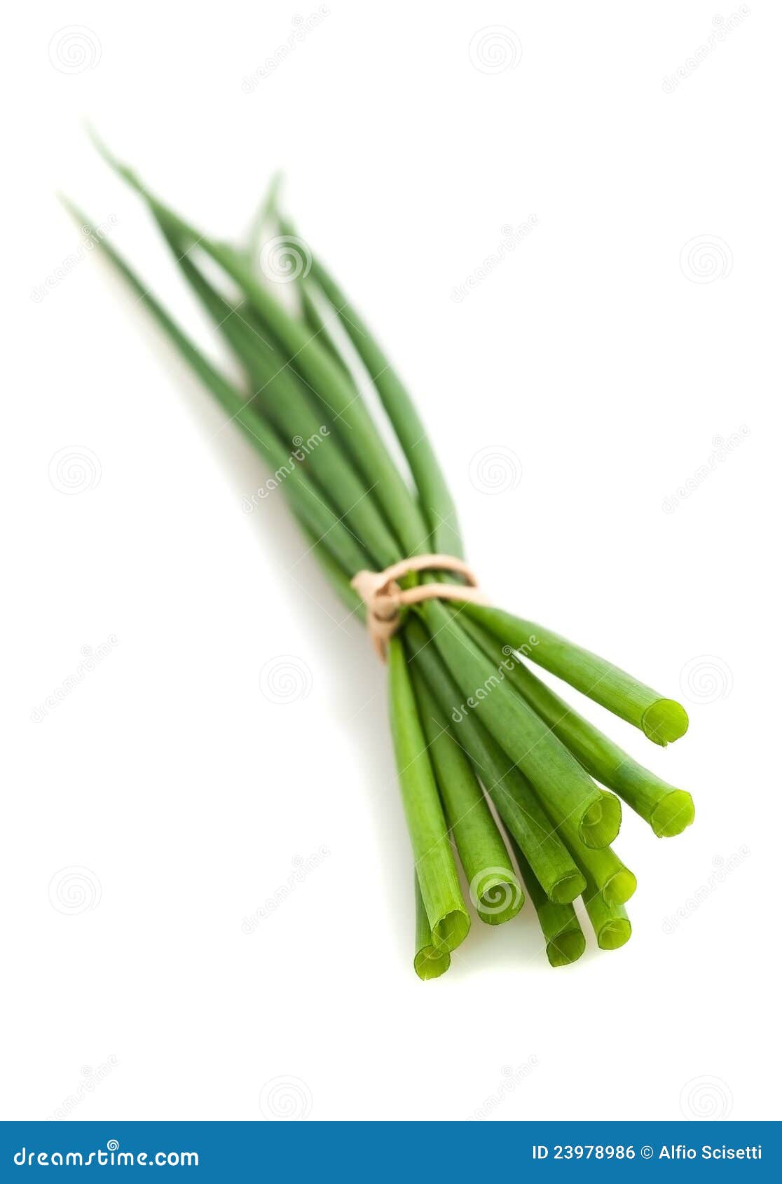 Chives bunch stock photo. Image of eating, food, bundle - 23978986