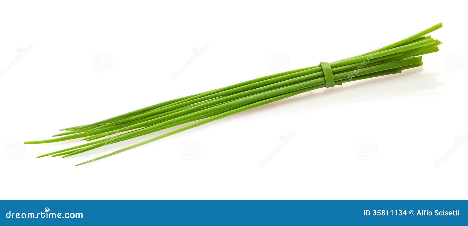 Chives bunch stock photo. Image of natural, chives, bunch - 35811134