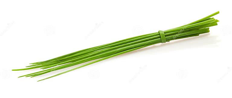Chives bunch stock photo. Image of natural, chives, bunch - 35811134