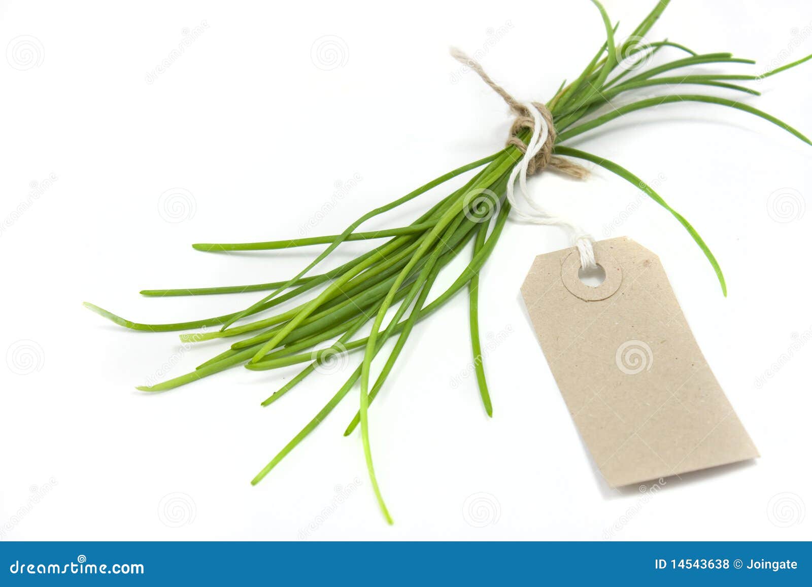 Chives and label stock photo. Image of close, isolated - 14543638