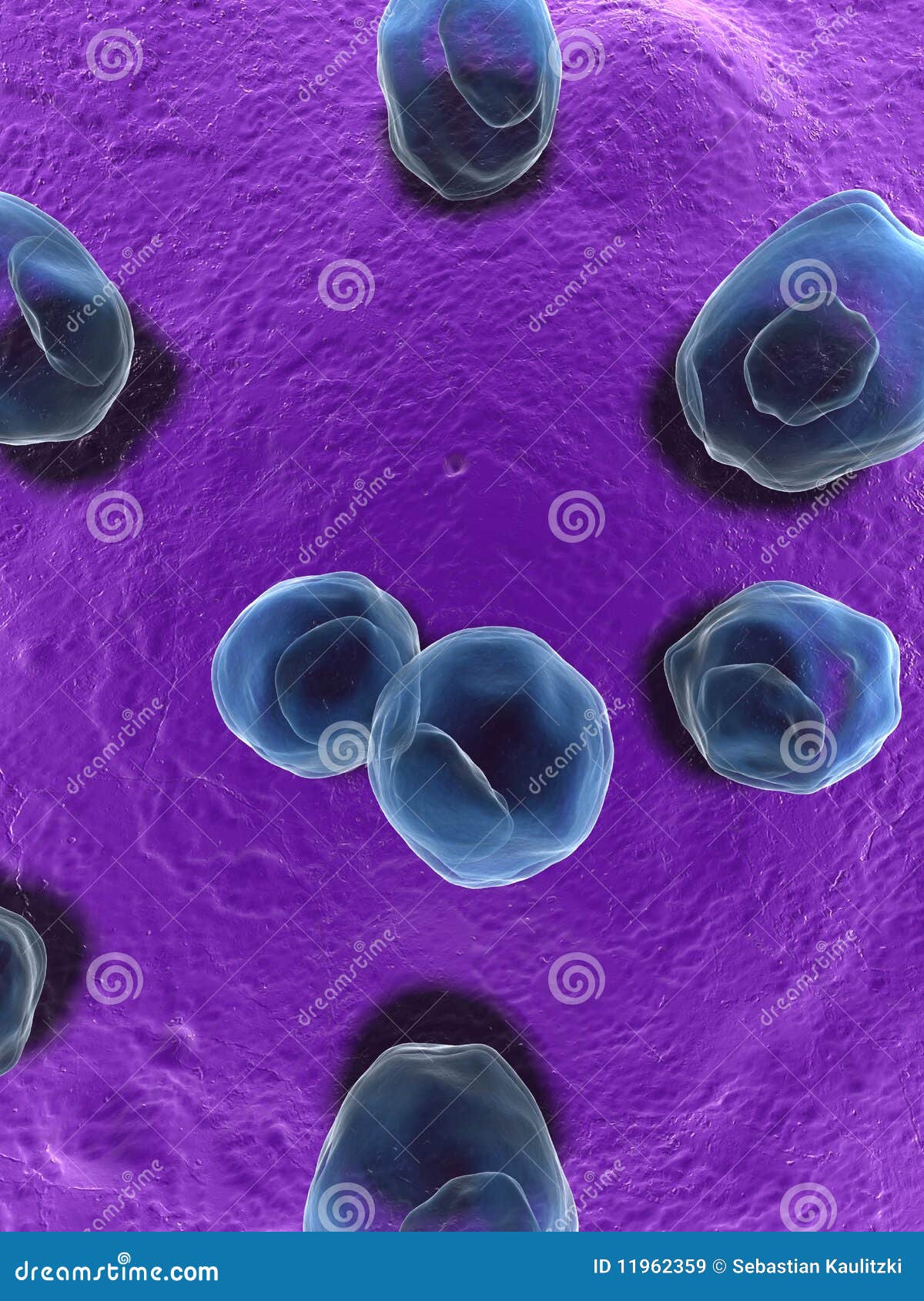 Chlamydia stock illustration. Illustration of chlamydiae - 11962359