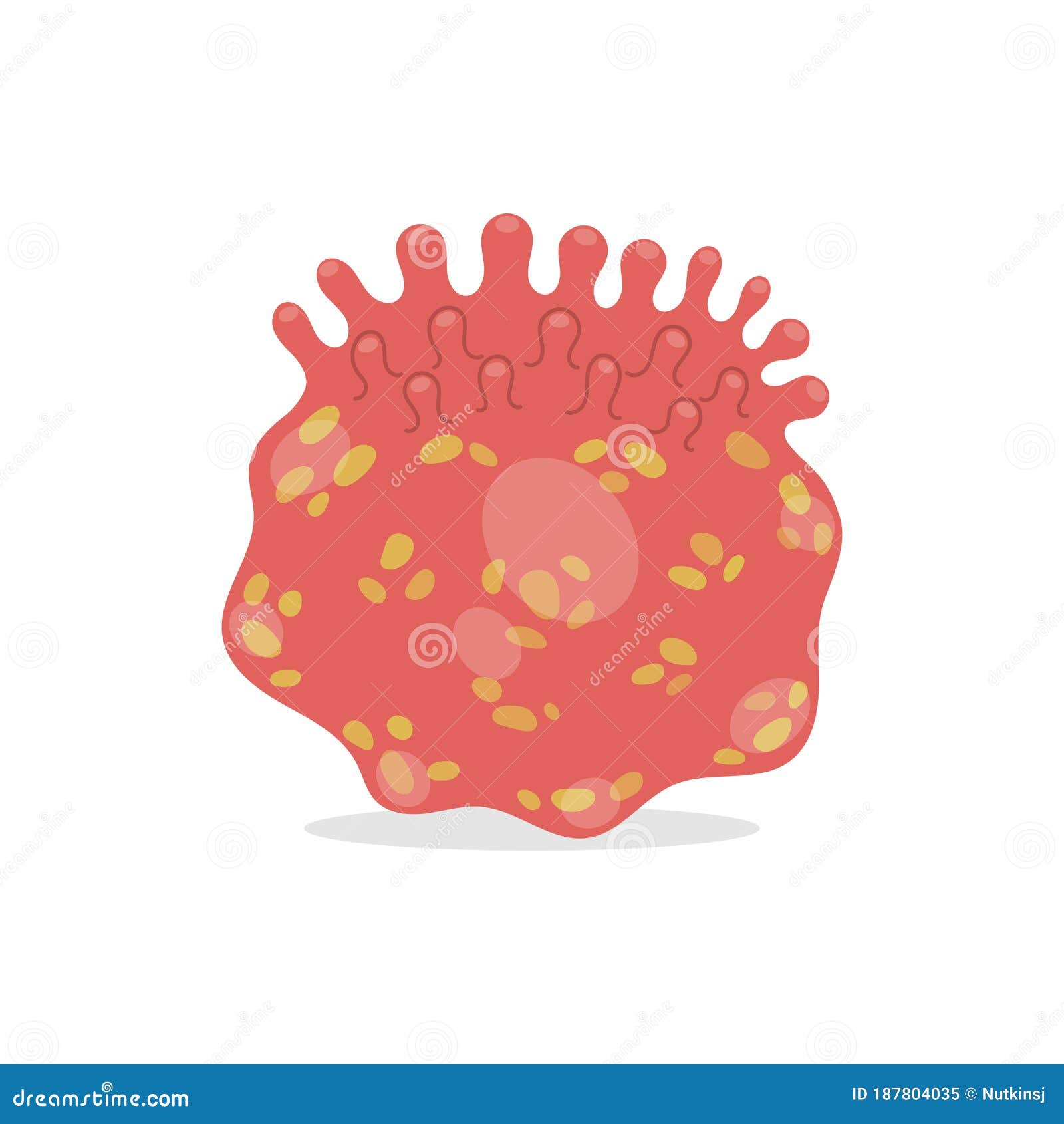 Chlamydia Bacteria Royalty-Free Illustration | CartoonDealer.com #86792742
