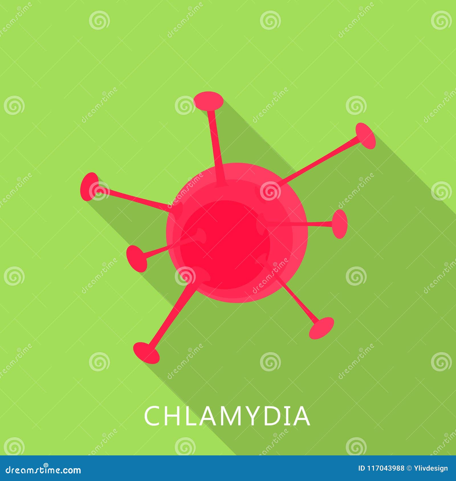 Salmonella Is Genus Of Rod-shaped Bacillus Gram-negative Bacteria ...