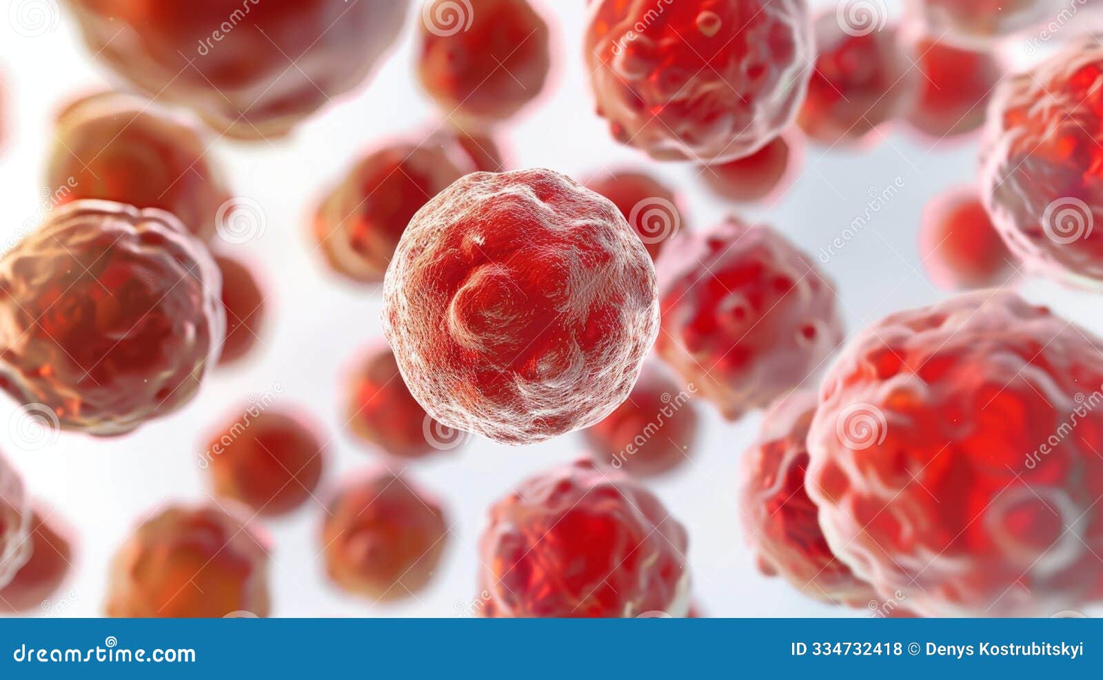 The Structure Of Chlamydia. Urogenital Vaginal Infection. Infographics ... The Structure Of Chlamydia. Urogenital Vaginal Infection. Infographics ...