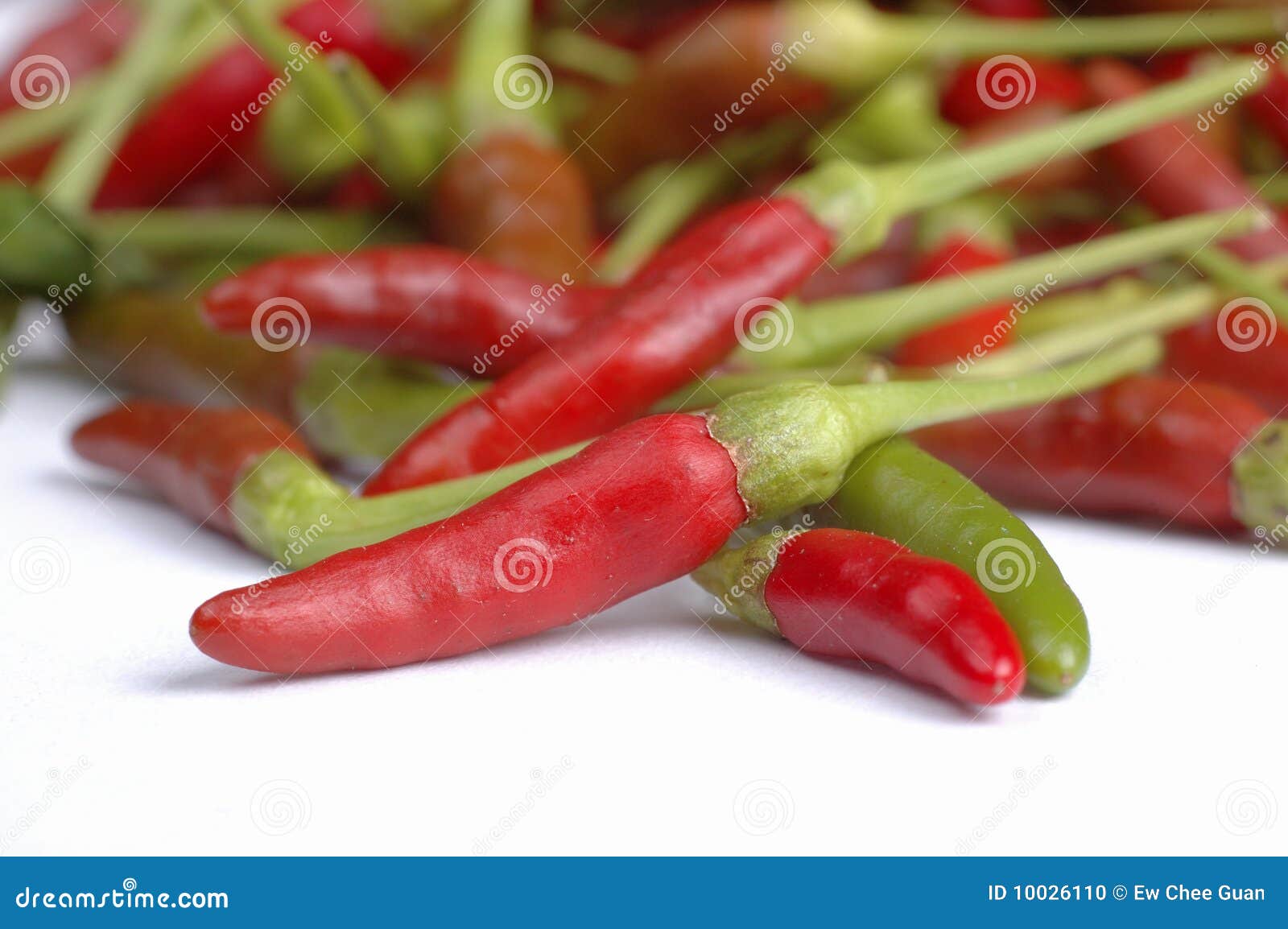 Chli padi stock photo. Image of market, food, curry, farm - 10026110