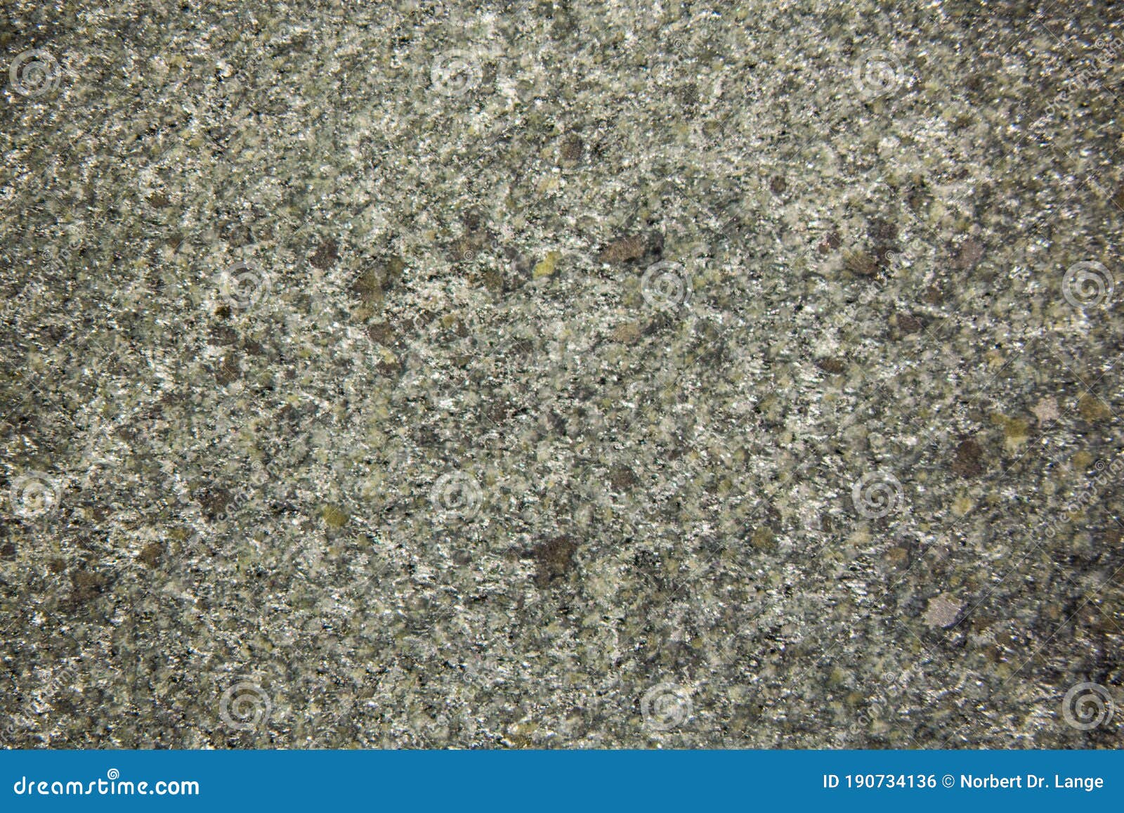 Chlorite Slate Rock Under the Magnifying Glass Stock Photo - Image of ...