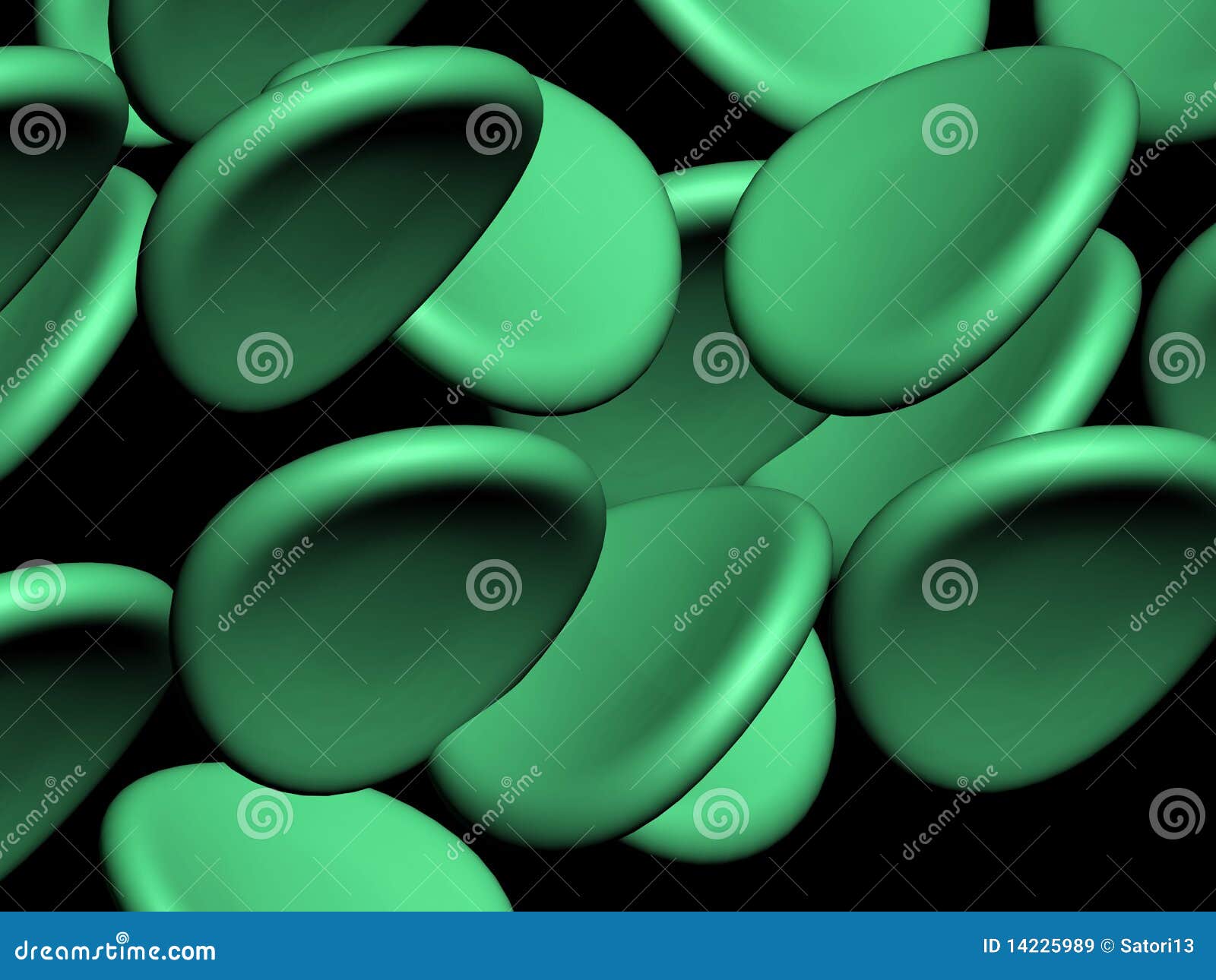 Chlorophyll Cells Stock Image | CartoonDealer.com #14226061