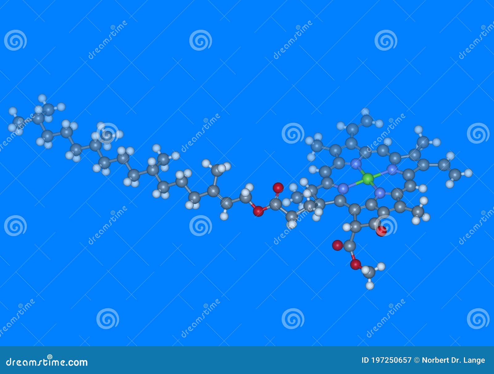 Chlorophyll a Molecular Model Stock Illustration - Illustration of ...