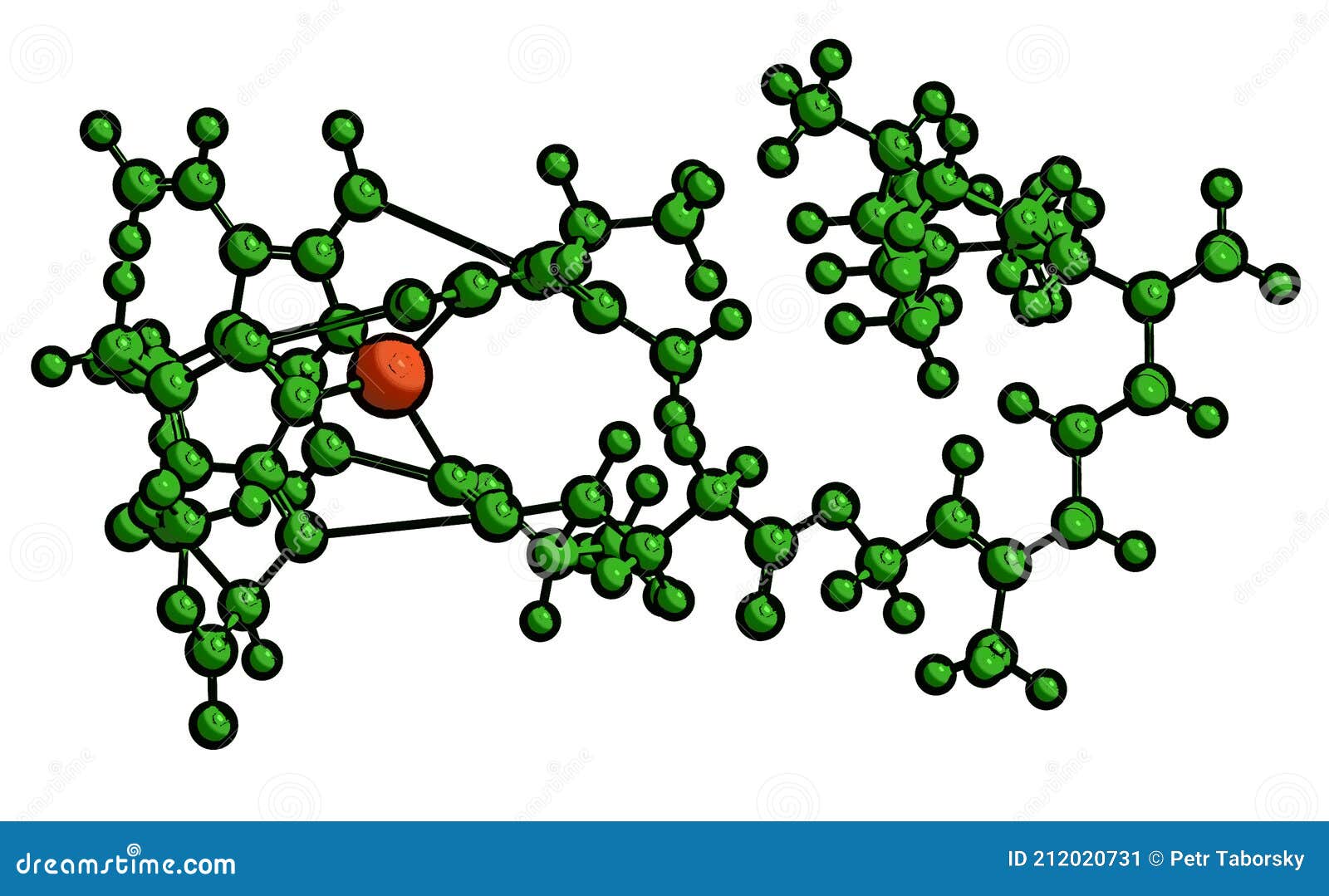Chlorophyll Structure