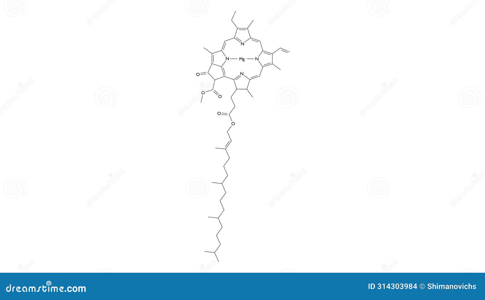 3D Image Of Chlorophyll C2 Skeletal Formula Royalty-Free Stock ...