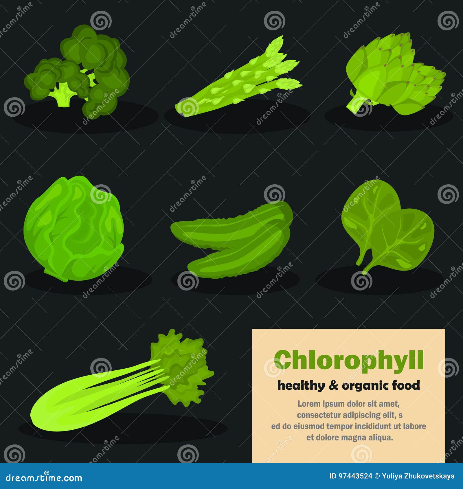 Chlorophyll Vegetables Color Icons Set for Web and Mobile Design Stock ...