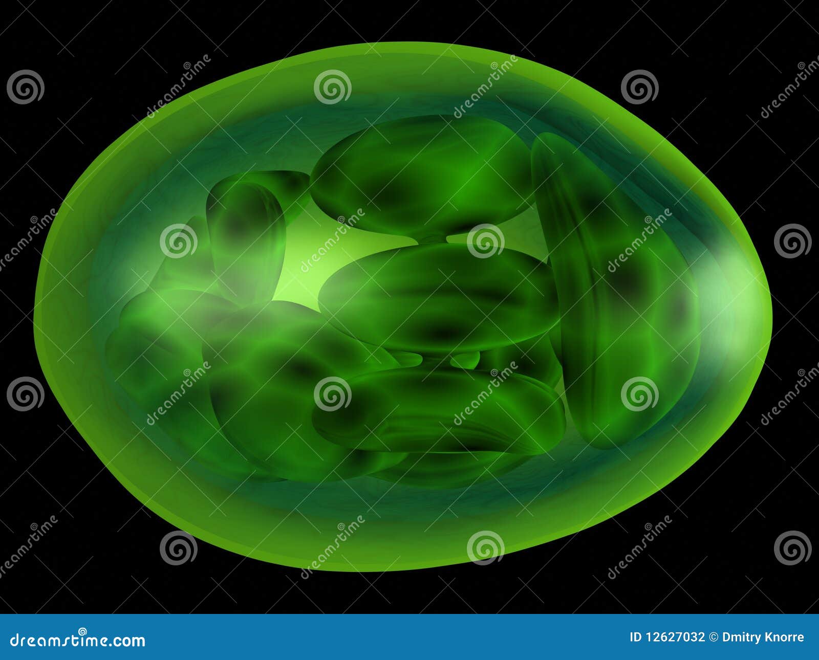 Chlorophyll And Chloroplast From Plant To Chemical Formula Outline ...