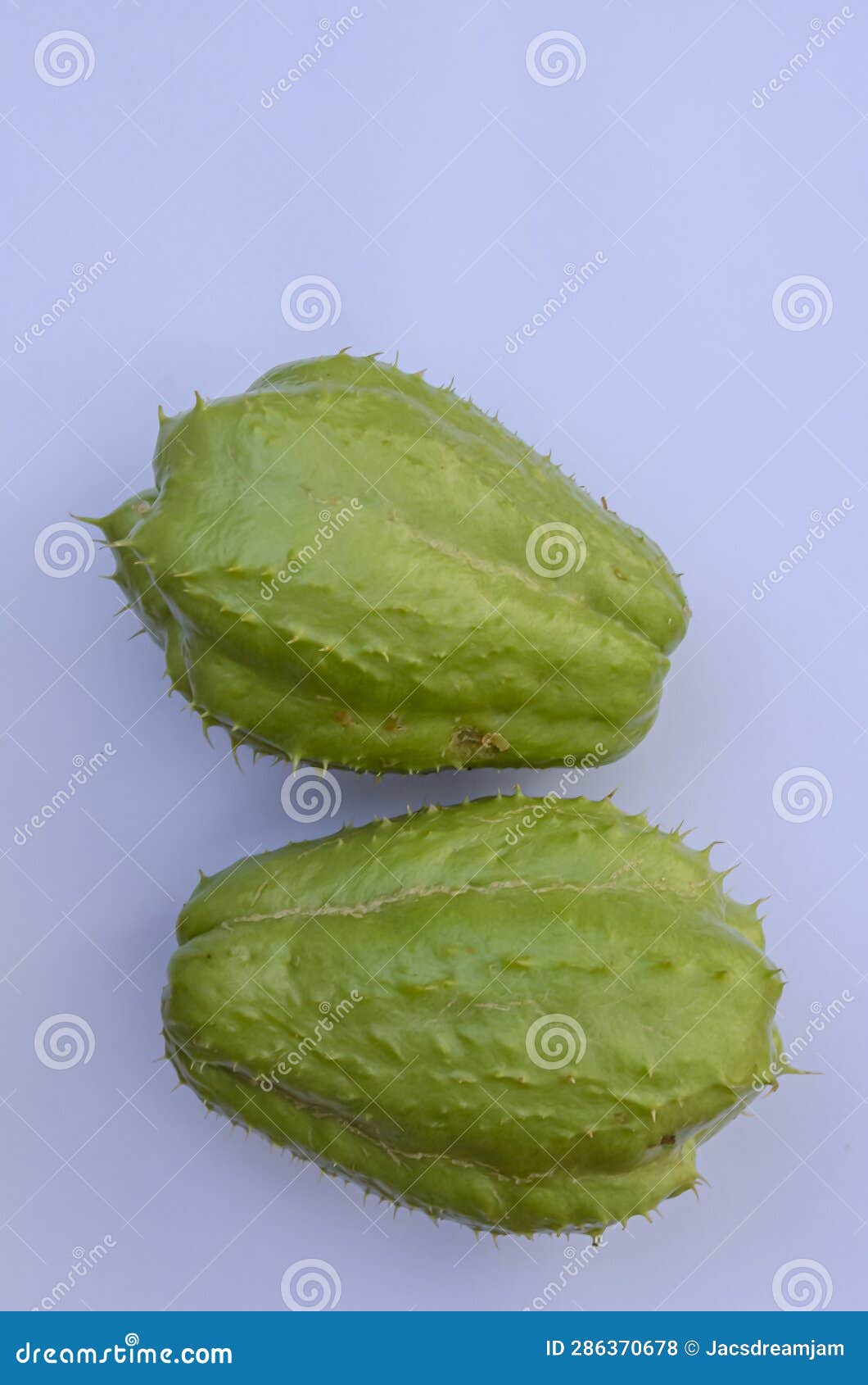 Cho Cho on a White Background Stock Photo - Image of natural ...