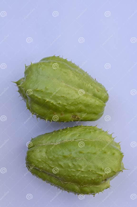 Cho Cho on a White Background Stock Photo - Image of natural ...