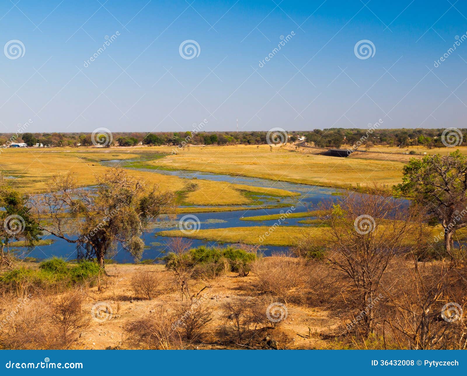 Chobe river stock photo. Image of clean, african, distant - 36432008