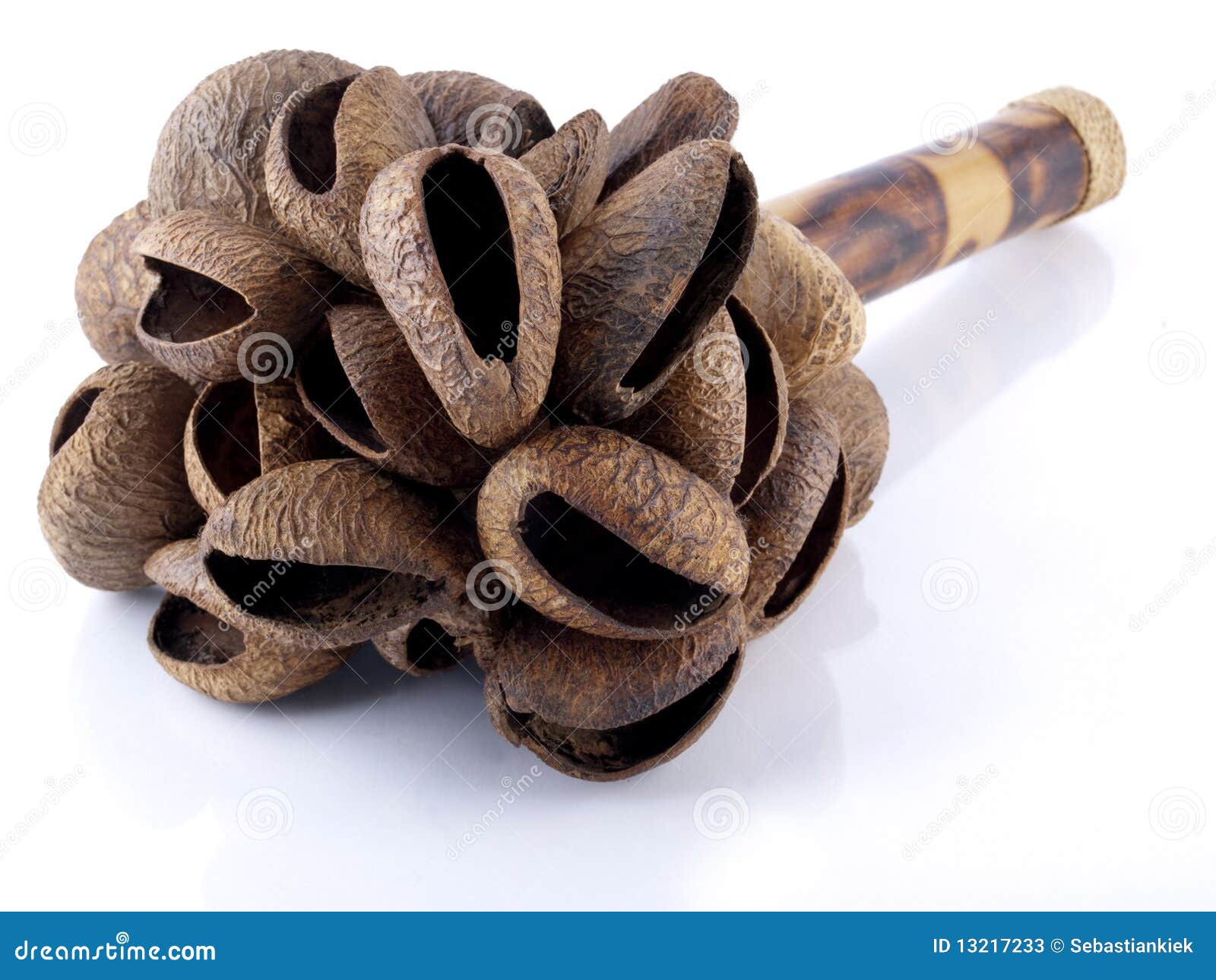 Chocalho do Calabash imagem de stock. Imagem de tradicional - 13217233