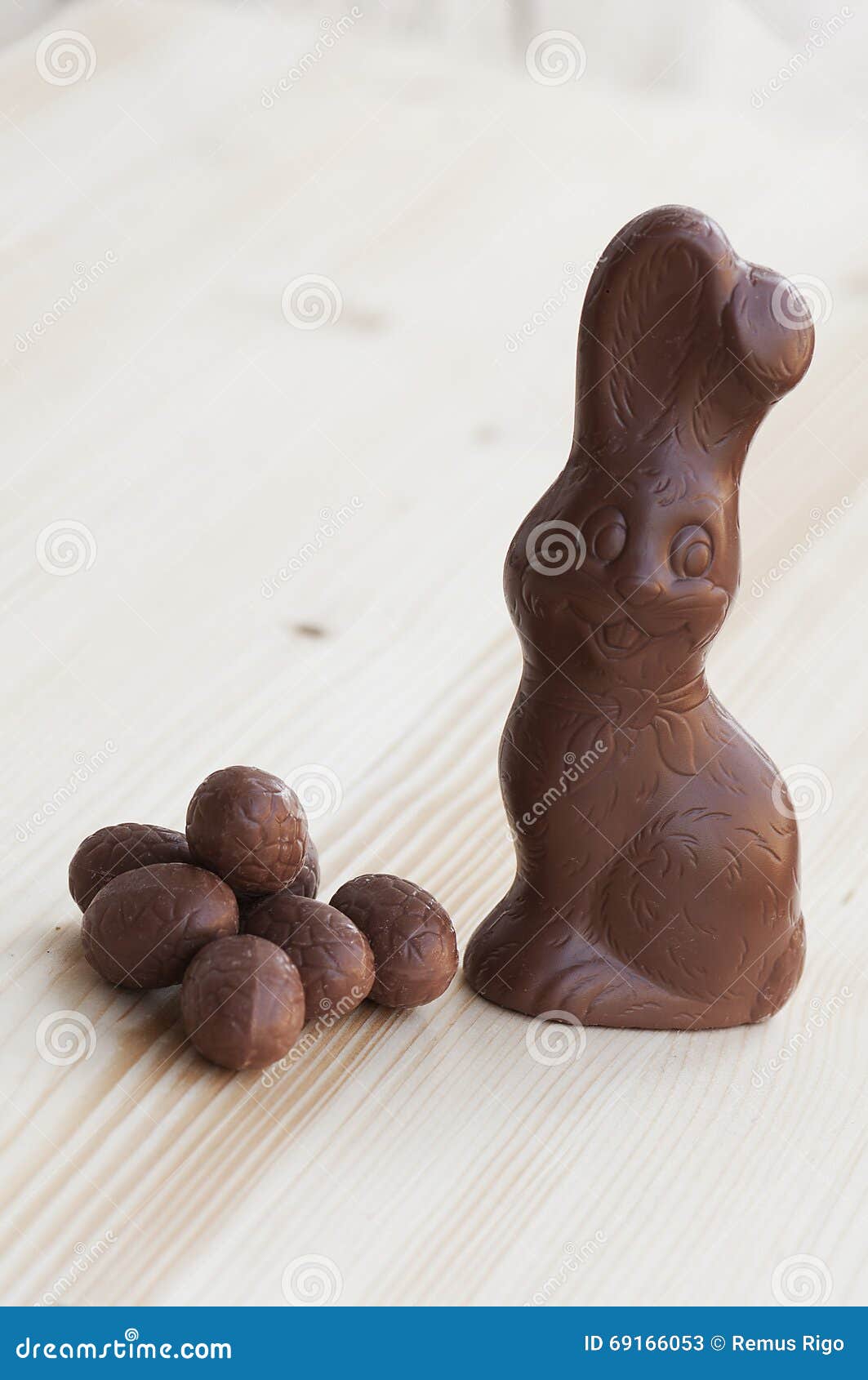 Chocholate Easter Bunny stock image. Image of tradition - 69166053