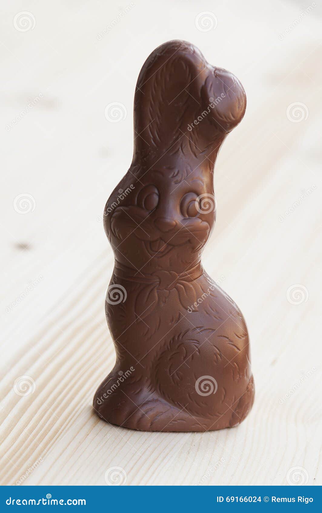 Chocholate Easter Bunny stock photo. Image of food, april - 69166024