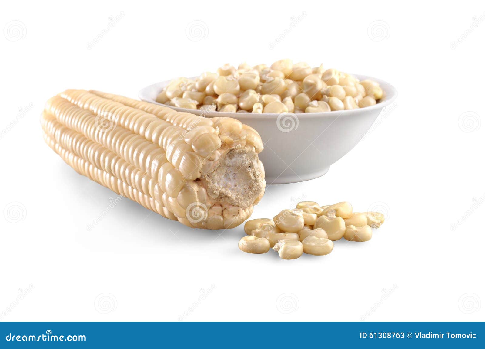 Choclo Giant White Corn Domestic Food Isolated on White with Clipping ...