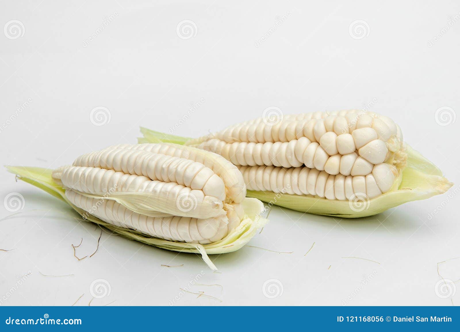 Choclo Giant White Corn Domestic Food Isolated On White With Clipping ...