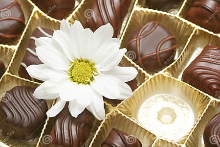 Chocolate stock photo. Image of confectionery, detail - 5096054