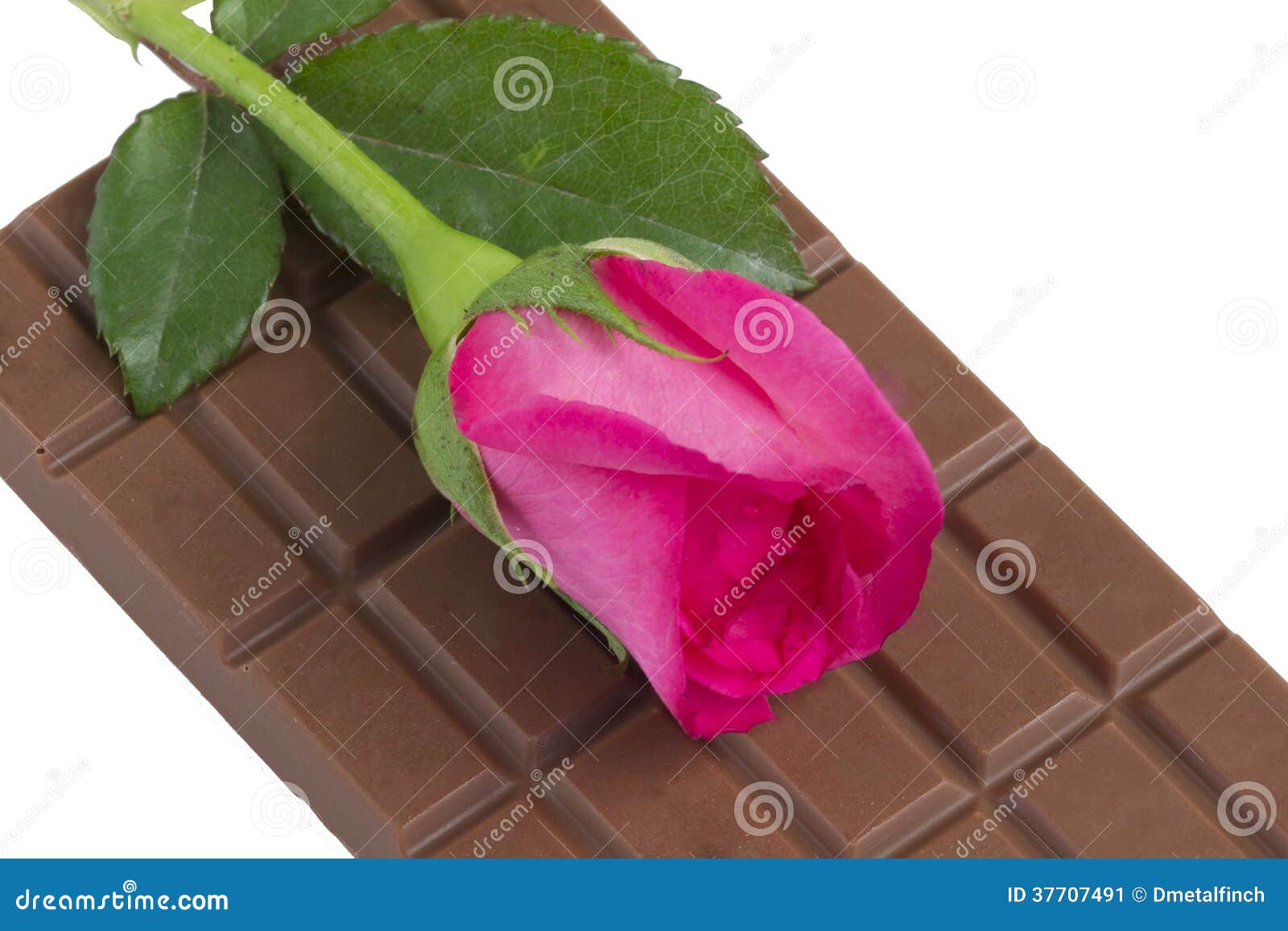 A Chocolate Bar with a Pink Rose Flower Stock Image - Image of blooms ...