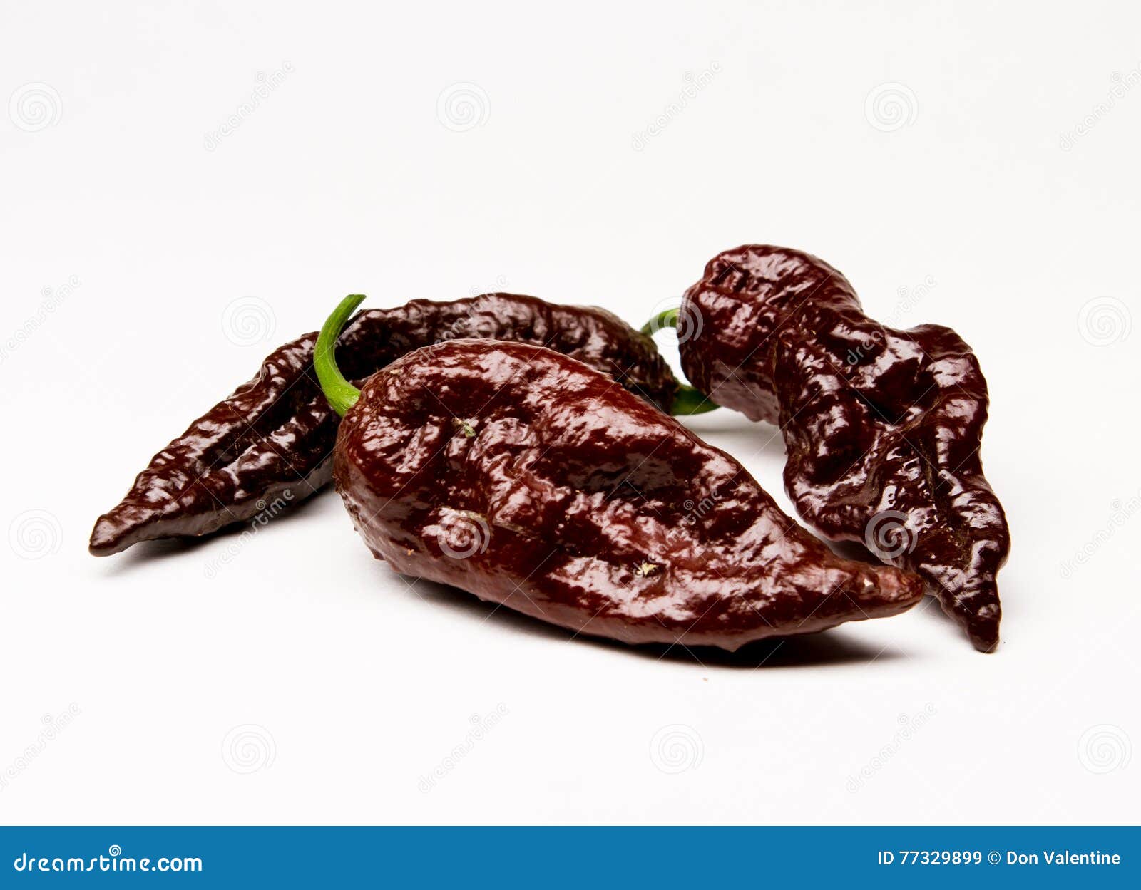 Chocolate Bhut Jolokia Ghost Peppers Stock Image - Image of pepper ...