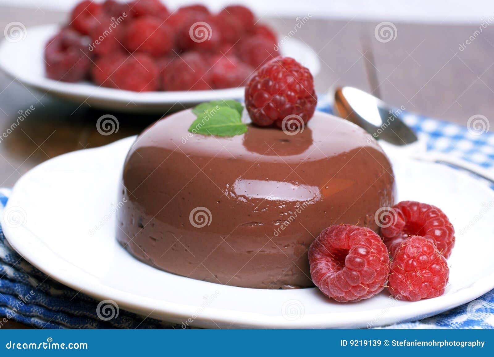 Chocolate blancmange stock image. Image of blancmange - 9219139