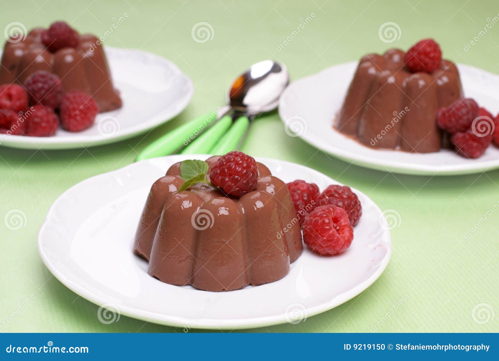 Chocolate blancmange stock photo. Image of delicious, dark - 9219150