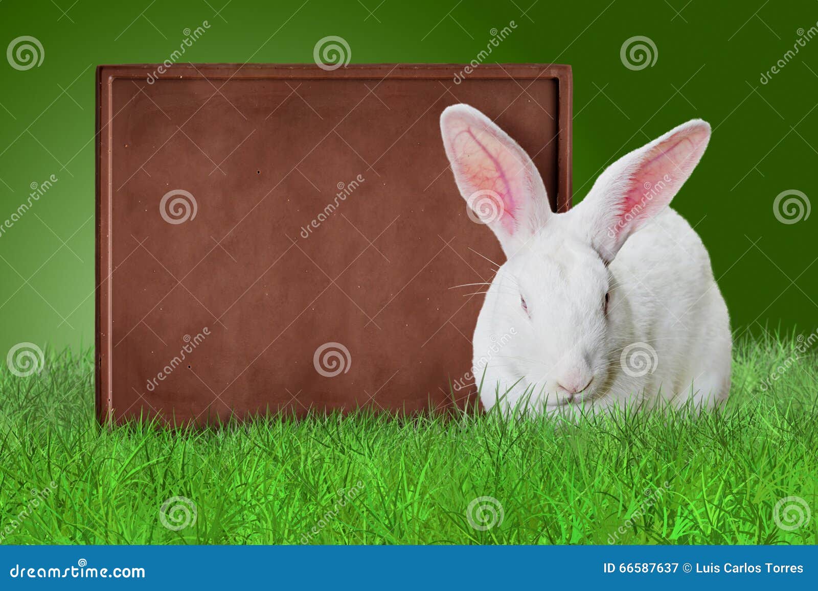 White Rabbit Chocolate Bar Stock Photos - Free & Royalty-Free Stock ...