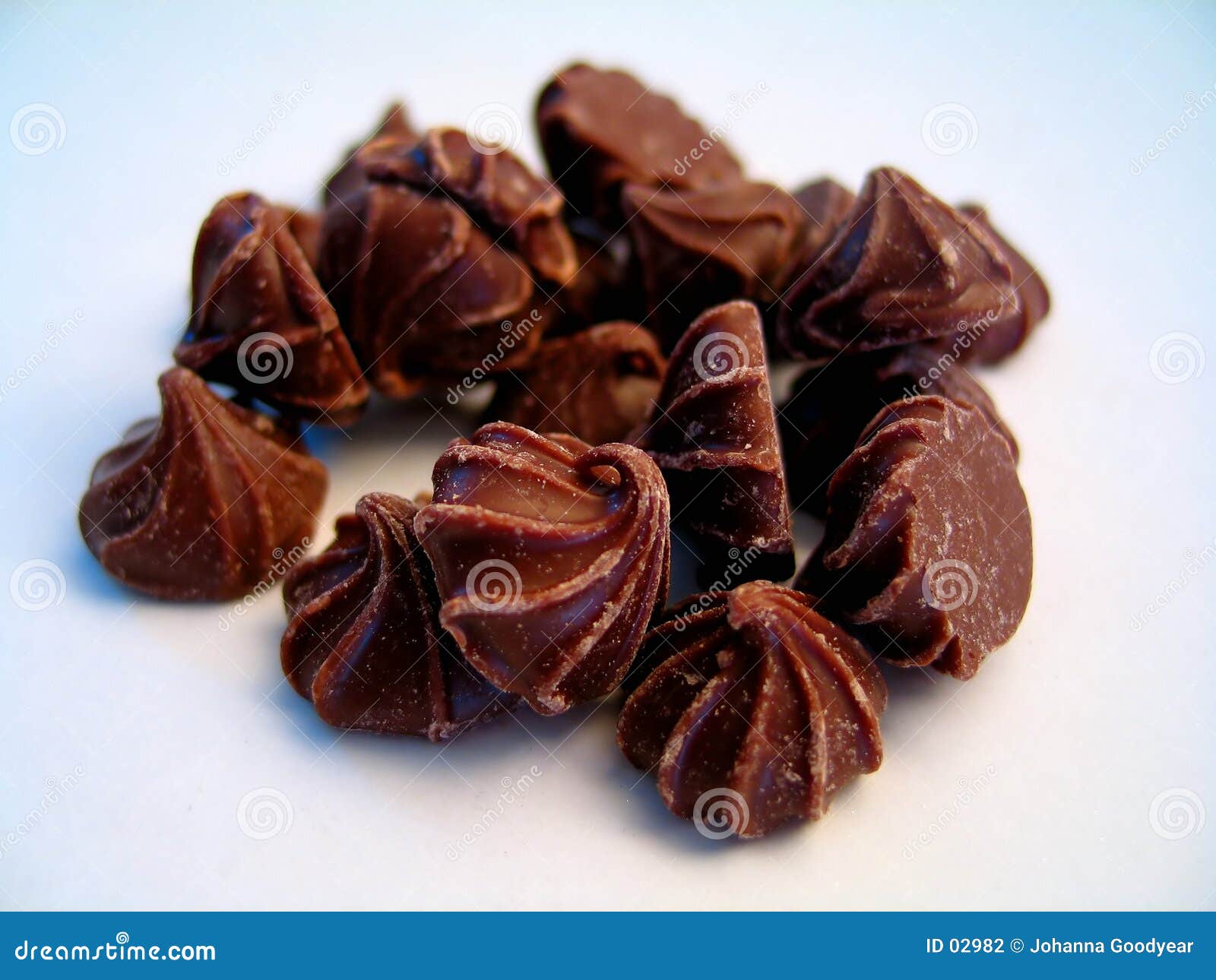 Chocolate Buds II stock photo. Image of sweets, treat, sweet - 2982