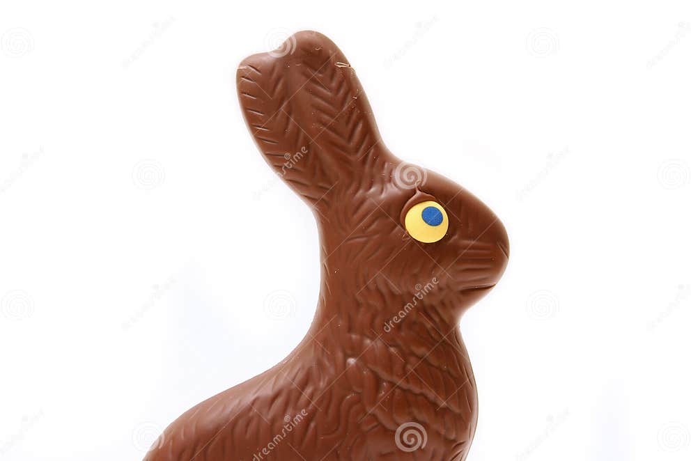 Chocolate Bunny stock photo. Image of holidays, chocolate - 153598