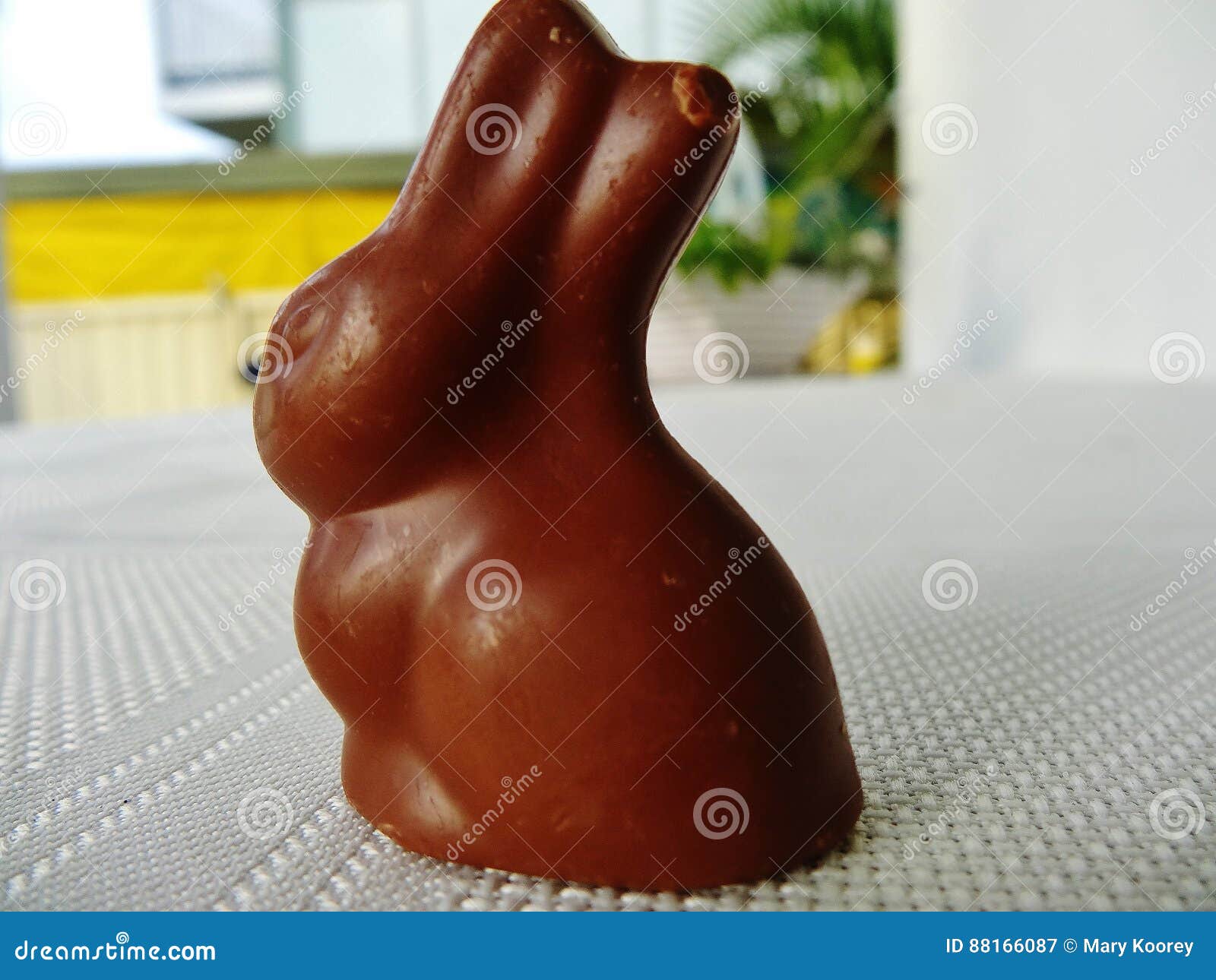 Chocolate Bunny stock image. Image of fresh, famous, flower - 88166087