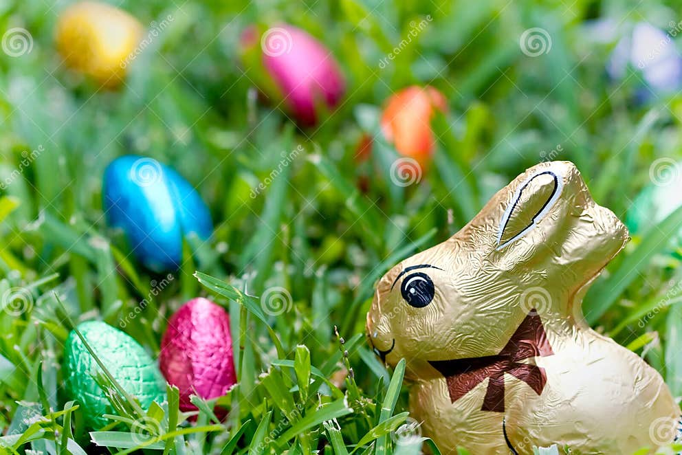 Chocolate bunny and eggs stock photo. Image of chocolate - 13579650