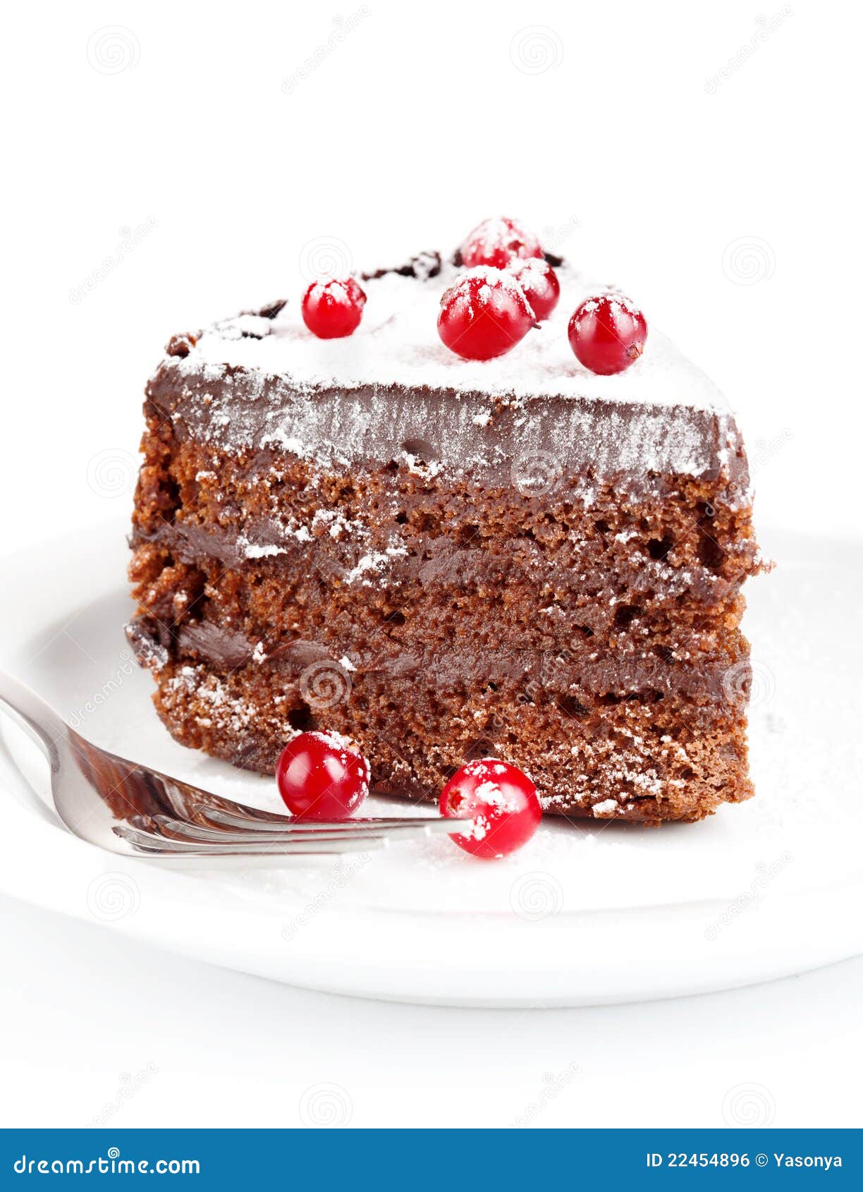 Chocolate cake with berry stock photo. Image of dessert - 22454896