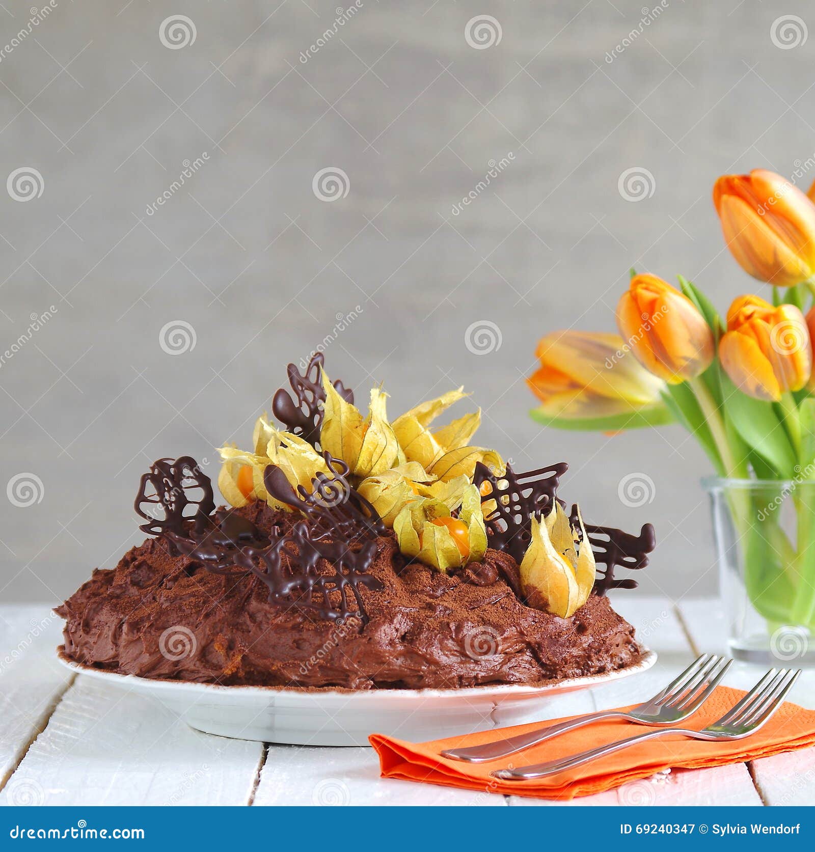 Chocolate Cake with Physalis Stock Image - Image of blossom, fruit: 69240347