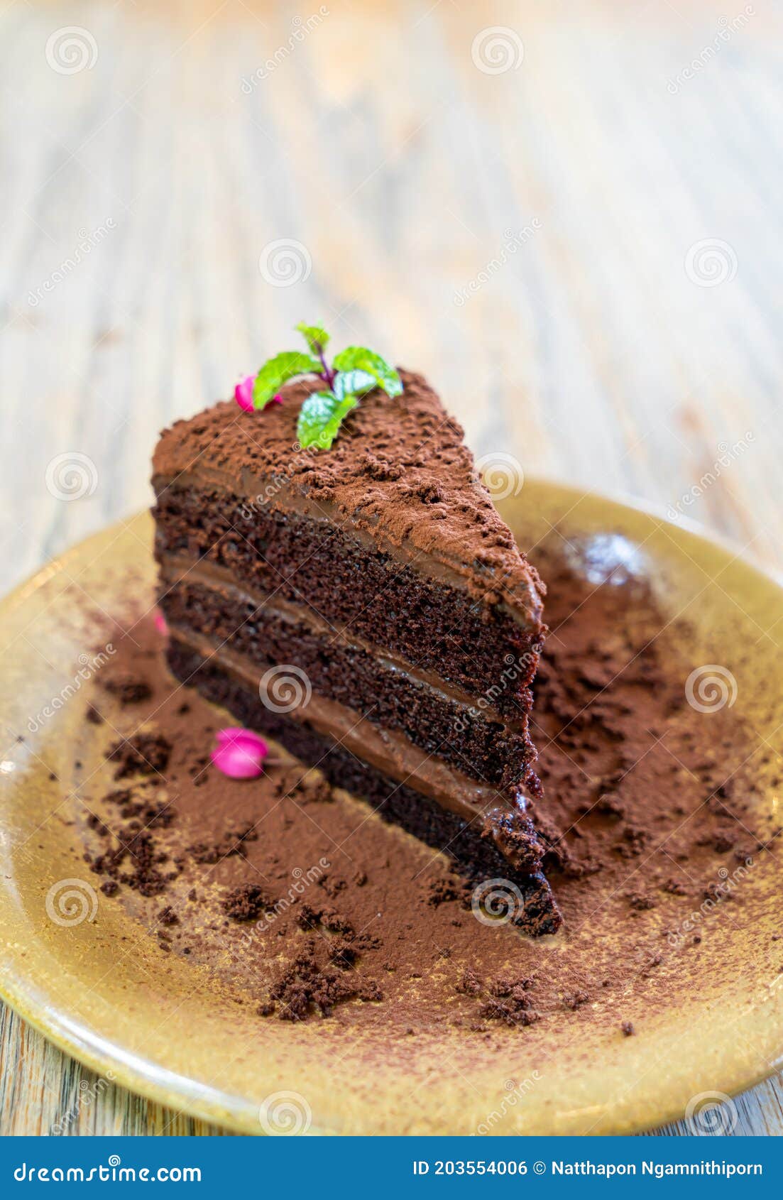 Chocolate cake on plate stock photo. Image of gourmet - 203554006