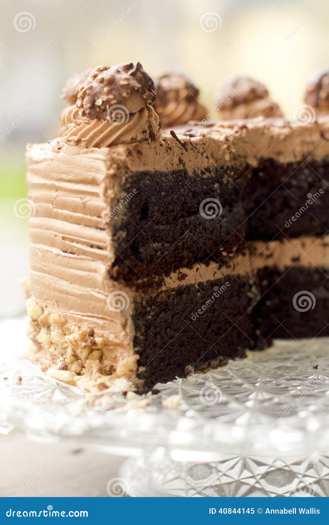 Chocolate cake side view stock image. Image of spring - 40844145