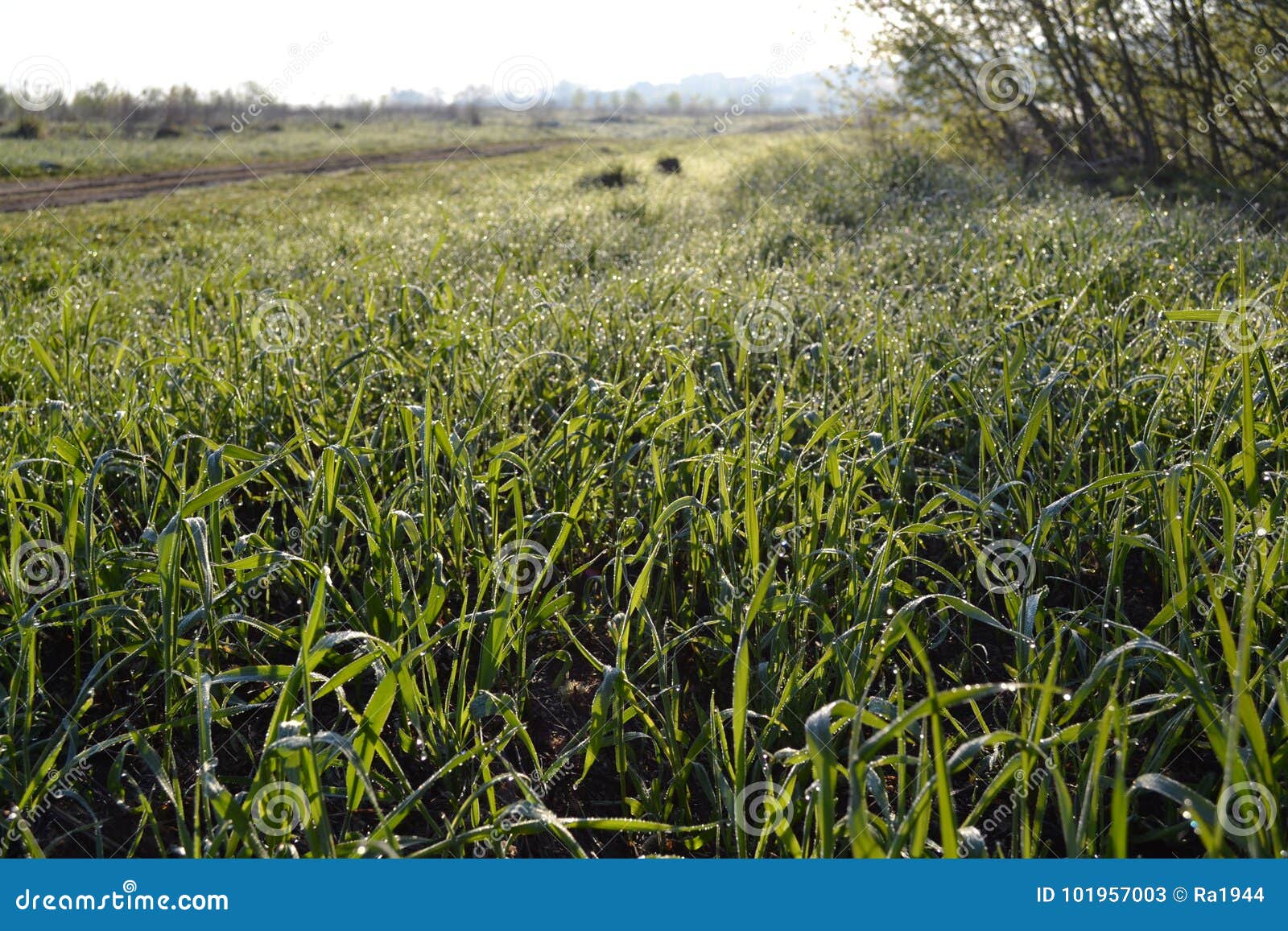 Chocolate Candies Incomplete Box Photos - Free & Royalty-Free Stock ...