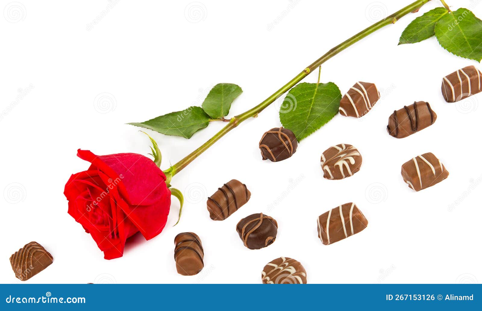Chocolate Candies and Red Rose Isolated on White Stock Photo - Image of ...