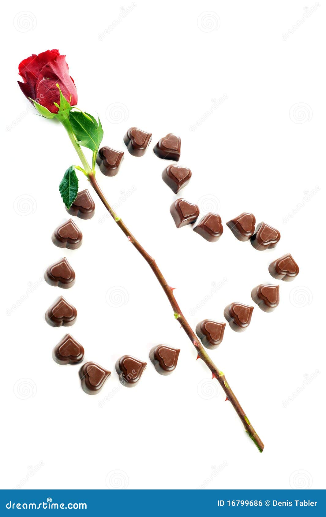 Chocolate candies and rose stock photo. Image of design - 16799686