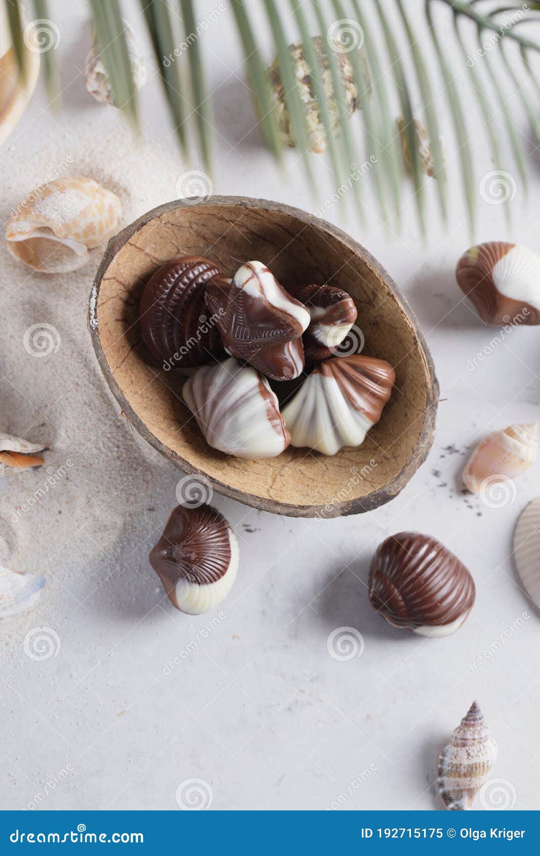 Chocolate Candy Shell Shape Stock Image - Image of dessert, mussel ...